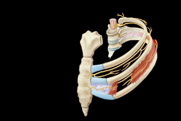 Cryo Nerve Block Therapy for Pain Management | AtriCure